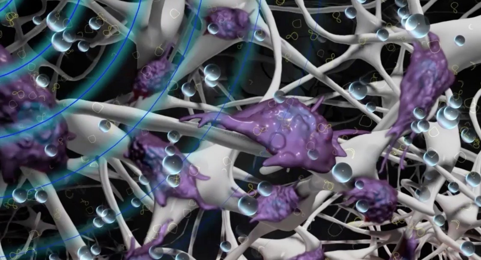 Polyorbit – Tuning Regeneration