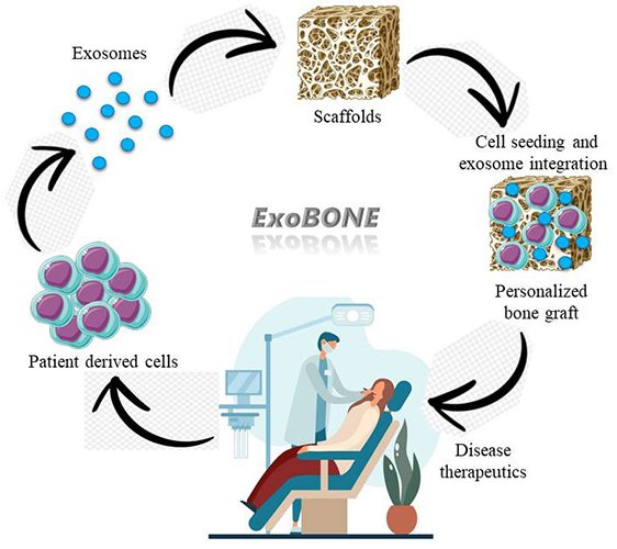 Innovation Platform – Polyorbit