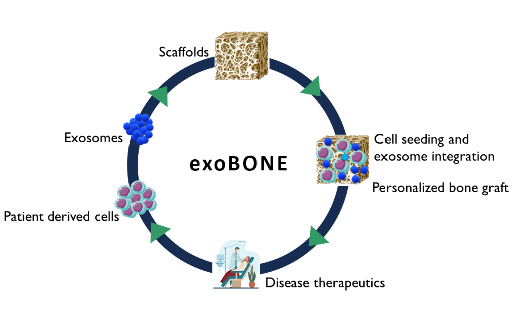 Innovation Platform – Polyorbit