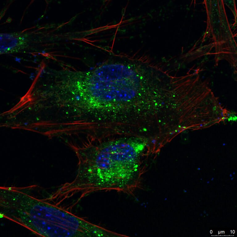 Innovation Platform – Polyorbit