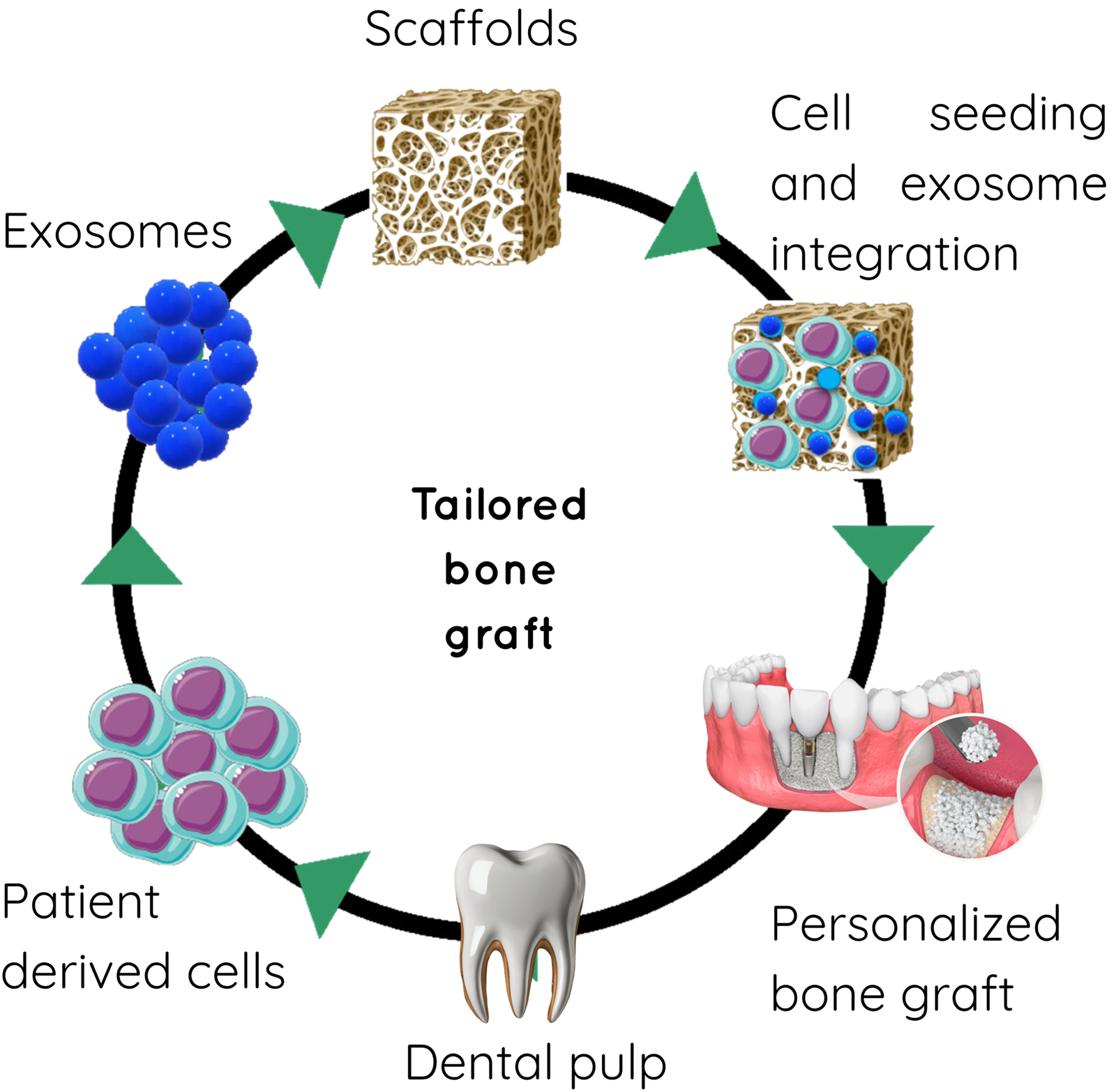 Innovation Platform – Polyorbit